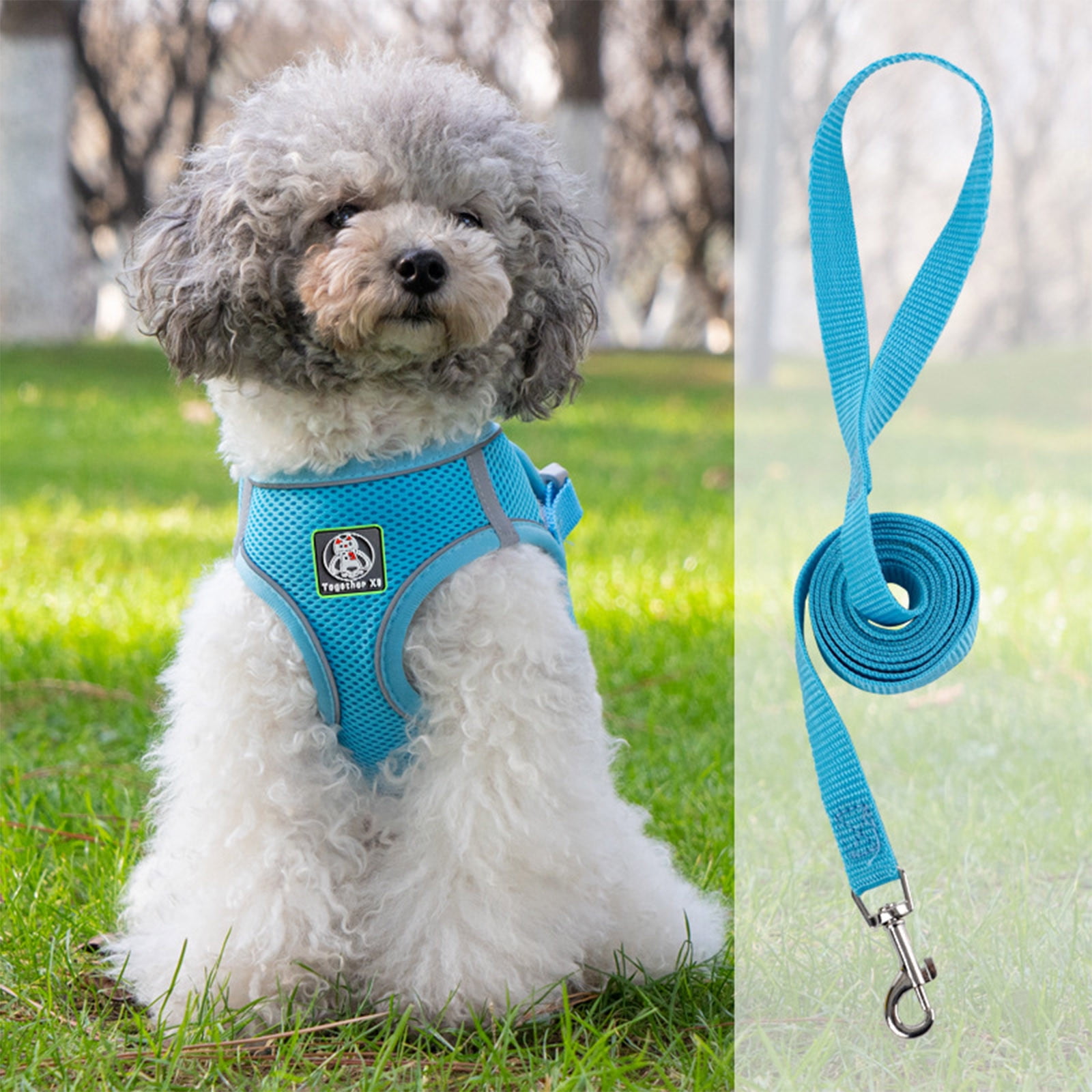 Qaailabf Pet Harness and Leash Set | Soft Breathable Polyester Vest ...