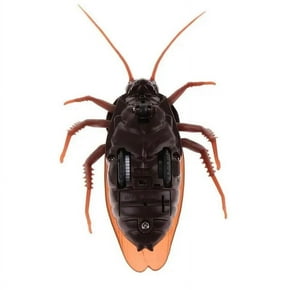 Motion Activated Spider