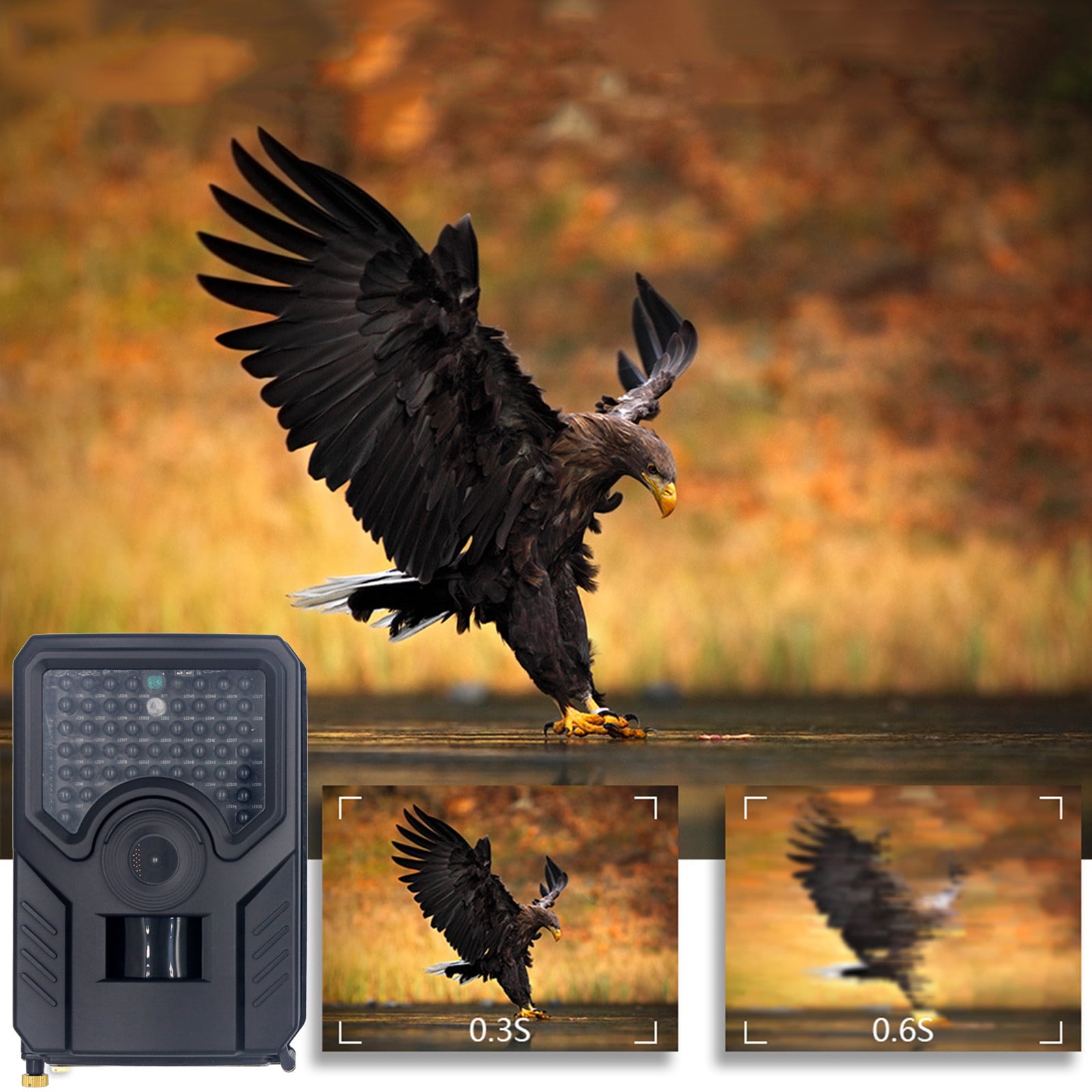 Qaailabf HD Outdoor Trail Camera 1080P 20MP Scientific Research ...