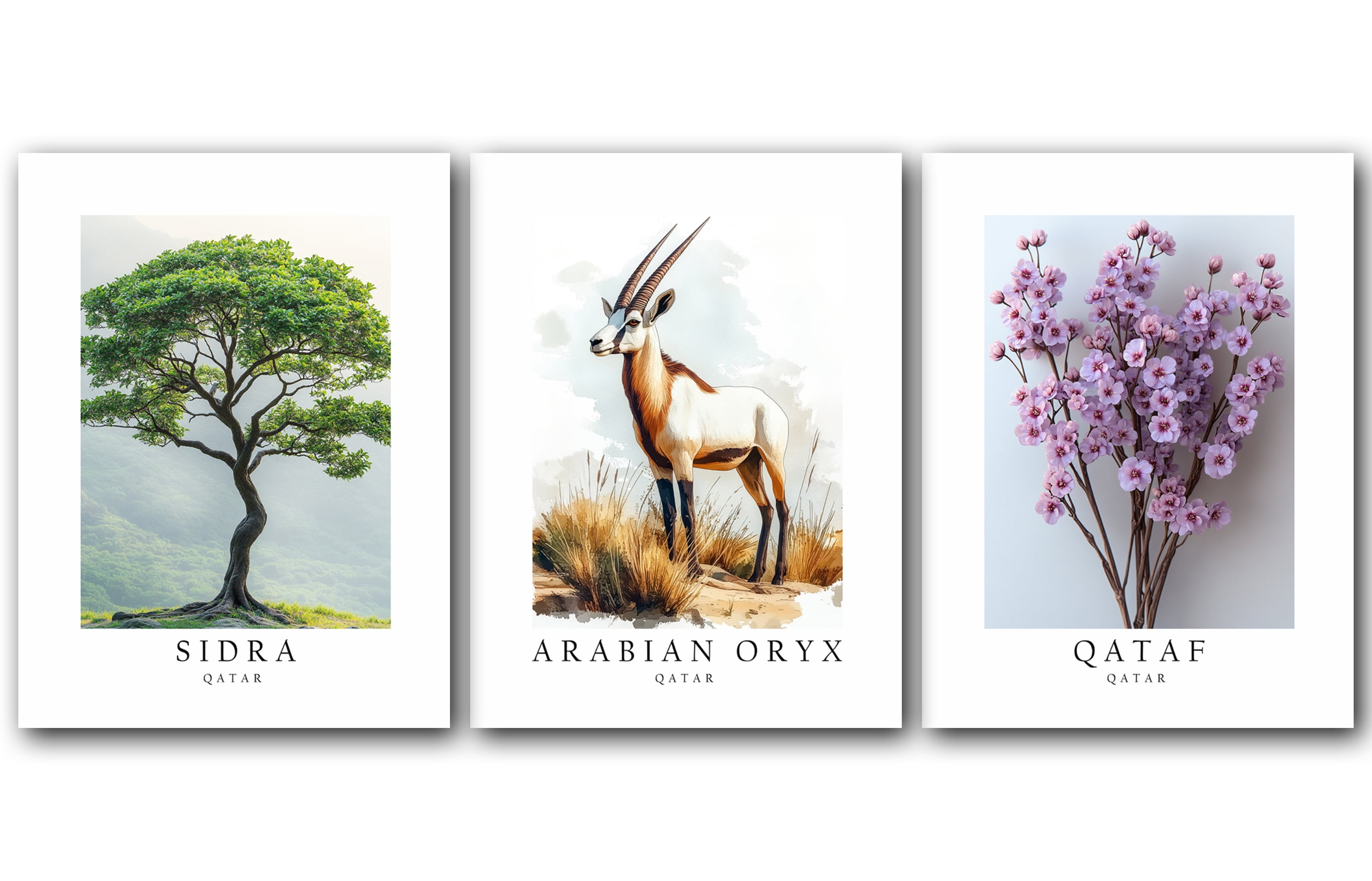 Qatar National Symbols, The Arabian Oryx, Qataf Flower, Sidra Tree, Set ...