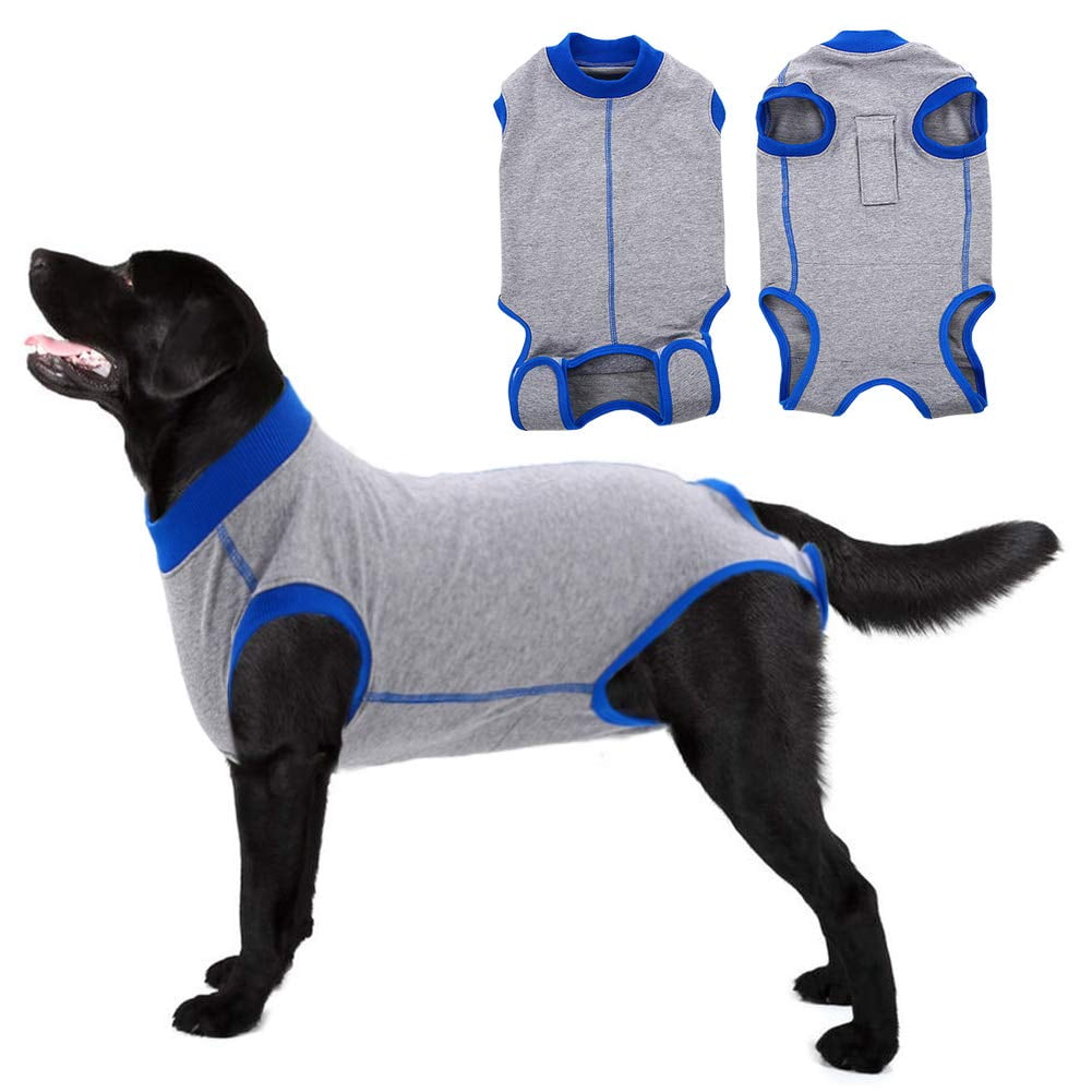 Qbleev Recovery Suit, Medium, Cotton, Full Body Protection, Blue, Pet ...