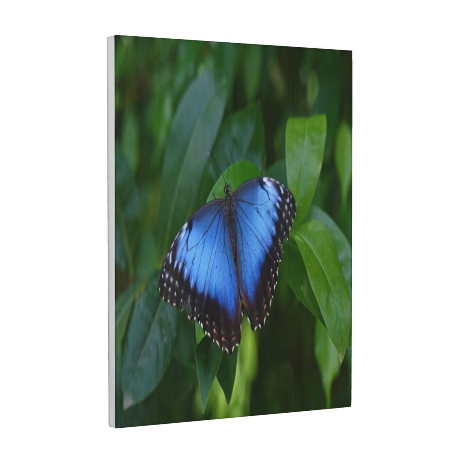 Qekee Blue Morpho butterfly Print Canvas Wall Art for Bathroom,Abstract ...