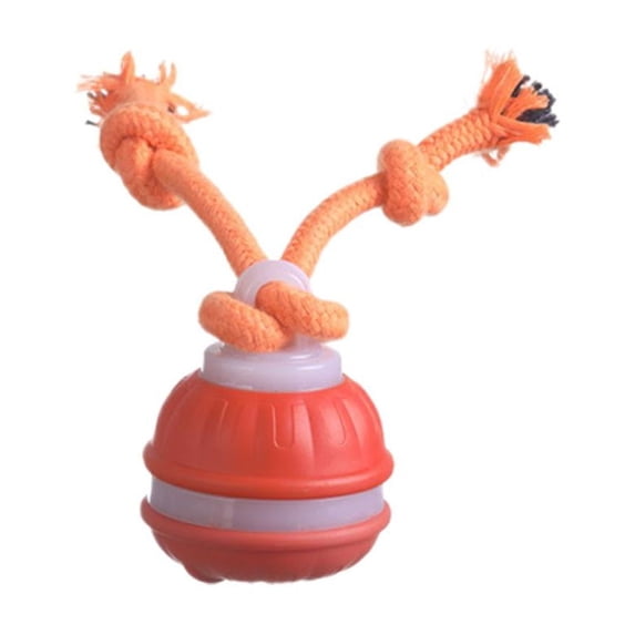 QenASHaing Motion-Activated Interactive Dog Toy with Squeaky Rolling ...
