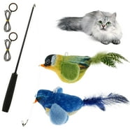 Qoosea 15-Piece Multipack Cat Feather Toys: 2 Extendable Wands and 13 ...