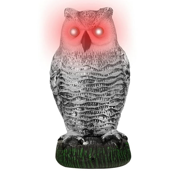 Owl Decoys