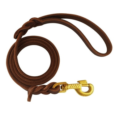 Vivifying Dog Check Cord, 32FT/10M Floatable Long Dog Training Rope for ...