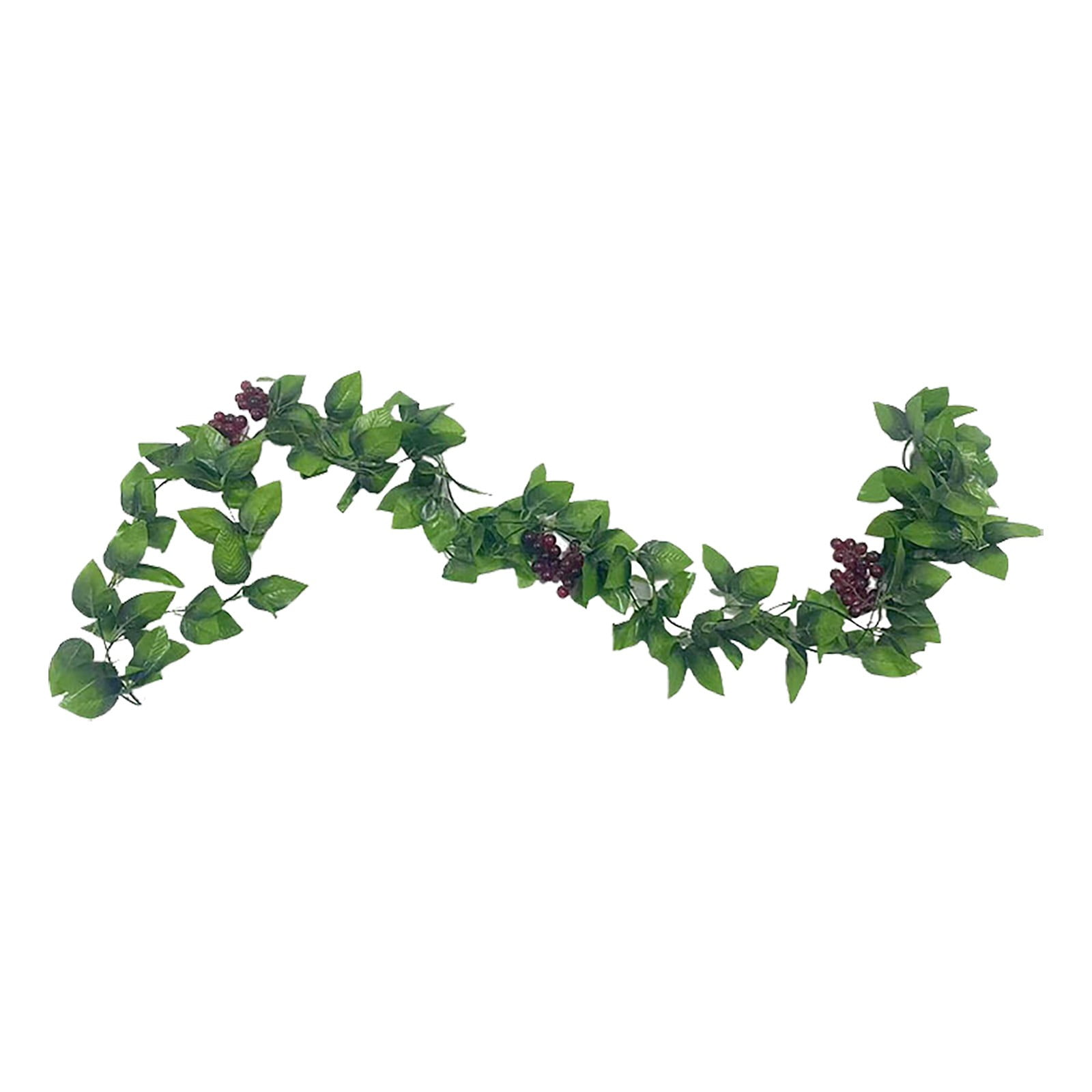 Qianduo Home Decor Grape Vine Summer Time Worm Garden Home Decor ...
