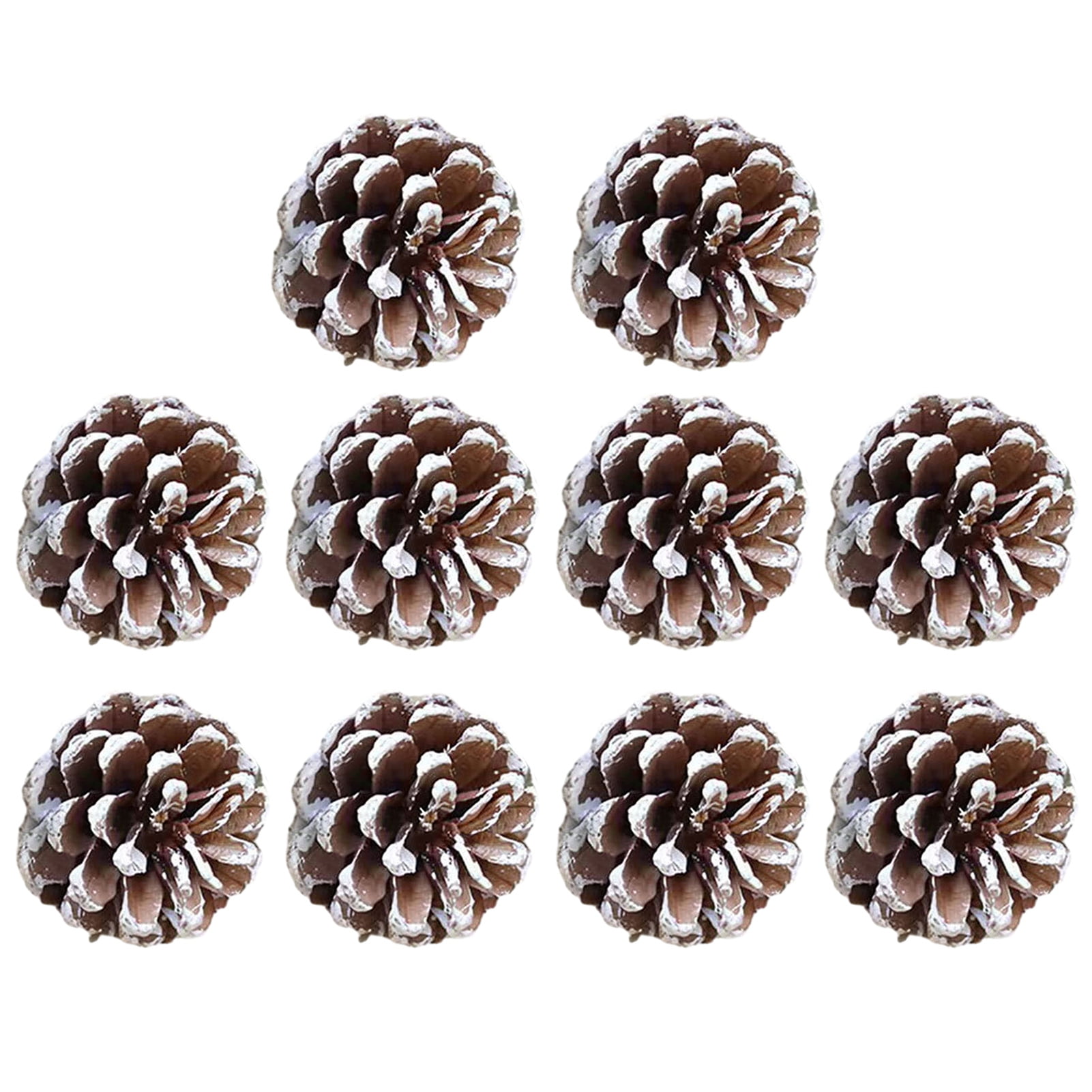 Qianha Mall Christmas Pine Cones 10pcs Natural Pine Cone Decorations ...