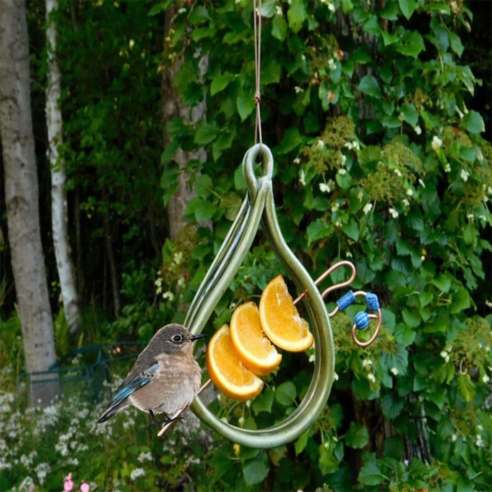 Qianvly Bird Feeder For Fruit Or Suet, Oriole Feeders For Outdoors ...