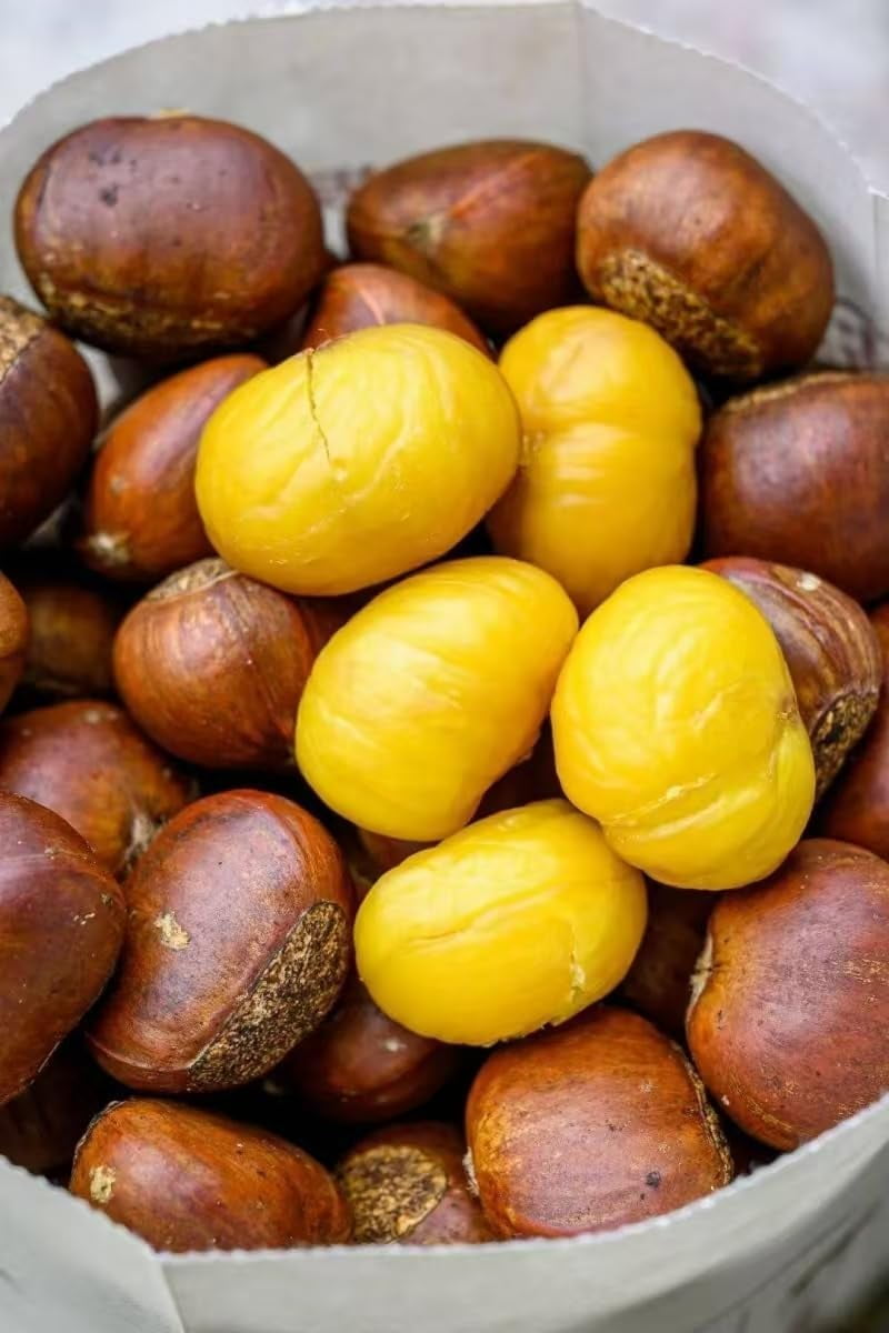 Qianxi Chestnut Tree | Live Trees for Outdoor Planting | Delicious ...