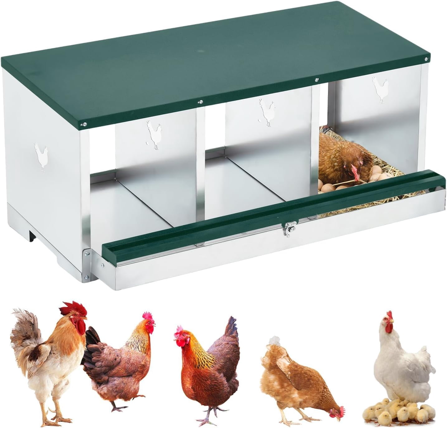 QinaQin 4 Hole Chicken Nesting Box,Galvanized Steel Laying Box with ...