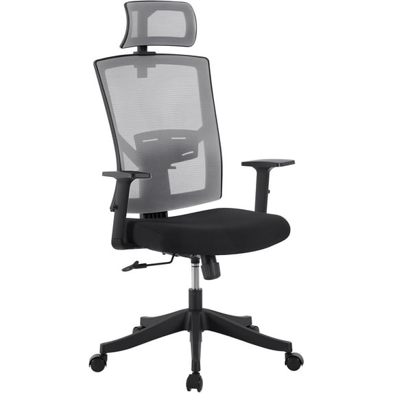 QinaQin High Back Ergonomic Office Chair with Adjustable Lumbar Support ...
