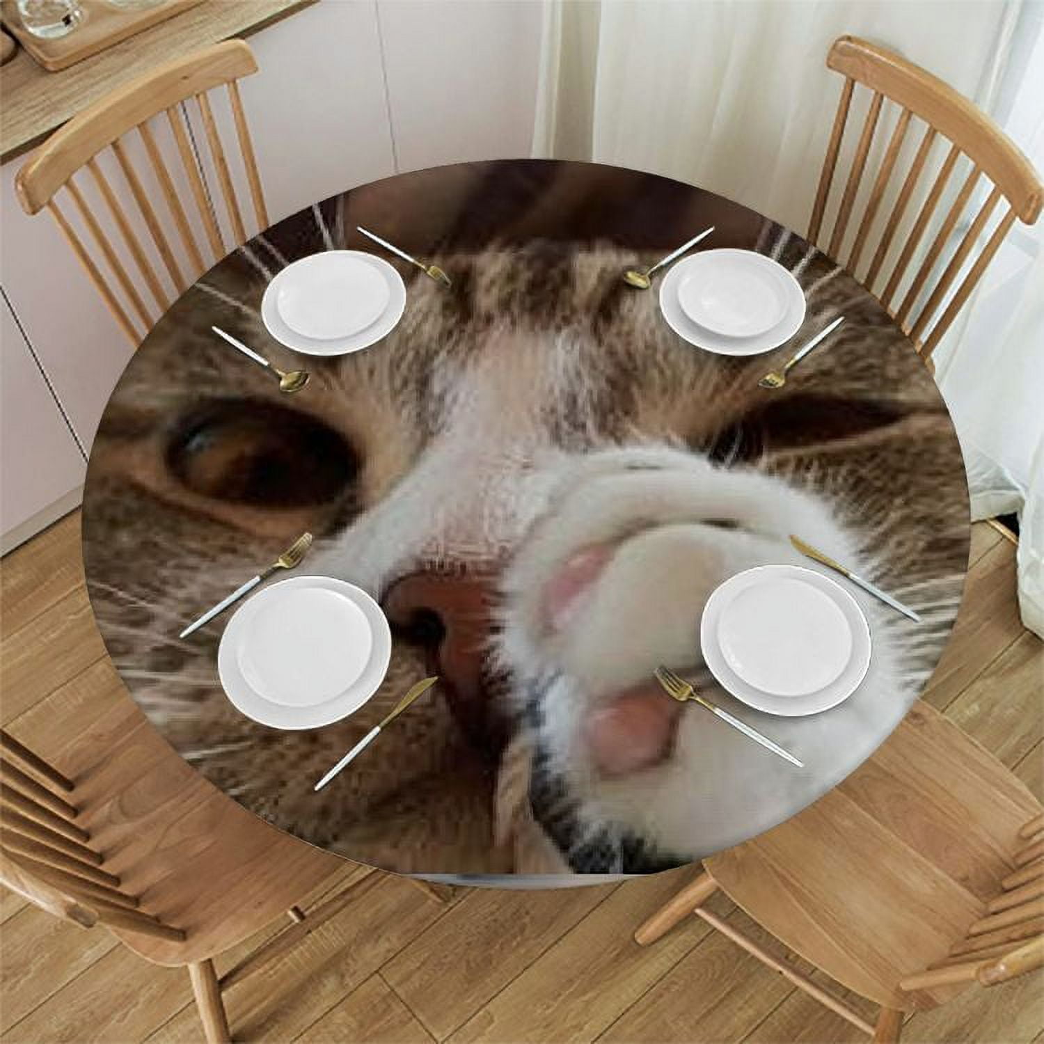 Qinduosi Cute Kitten Cat Animals Round Fitted Tablecloth with Umbrella ...