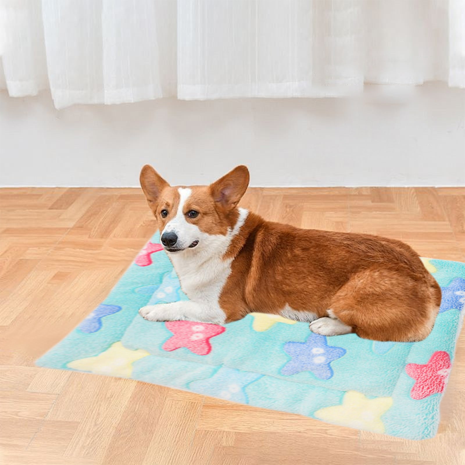 Isvgxsz Pets Cat Bed Dog Crate Pad Ultra Soft Pet Bed with Cute Print ...
