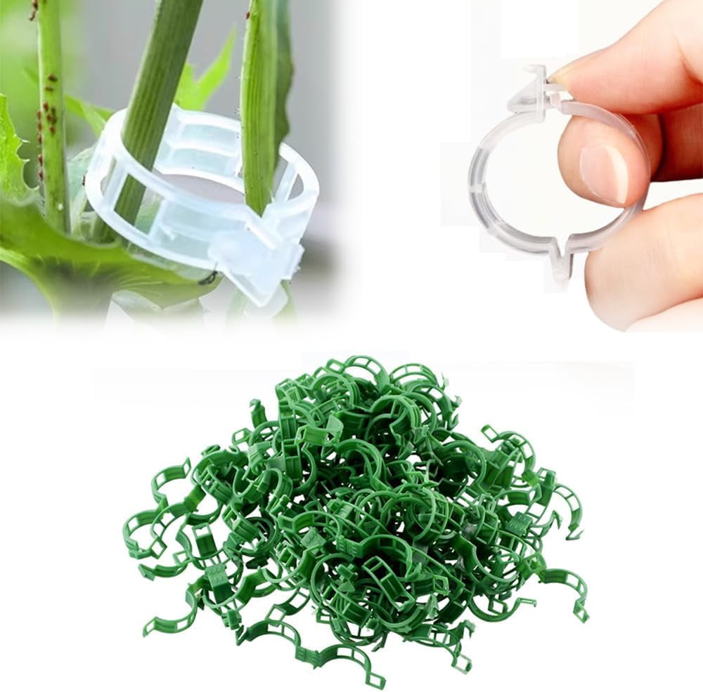 Qingshang Secured Plastic Plant Clip, Garden Clips for Climbing Plants ...