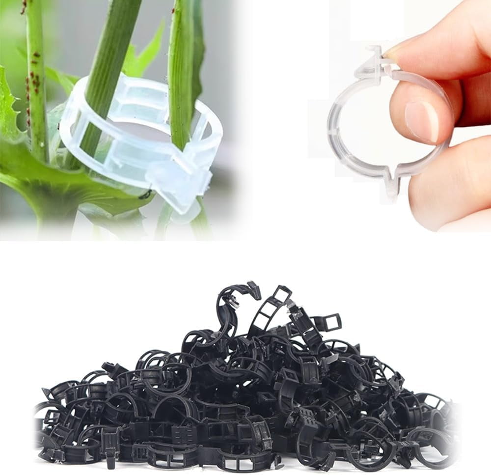 Qingshang Secured Plastic Plant Clip, Garden Clips for Climbing Plants ...
