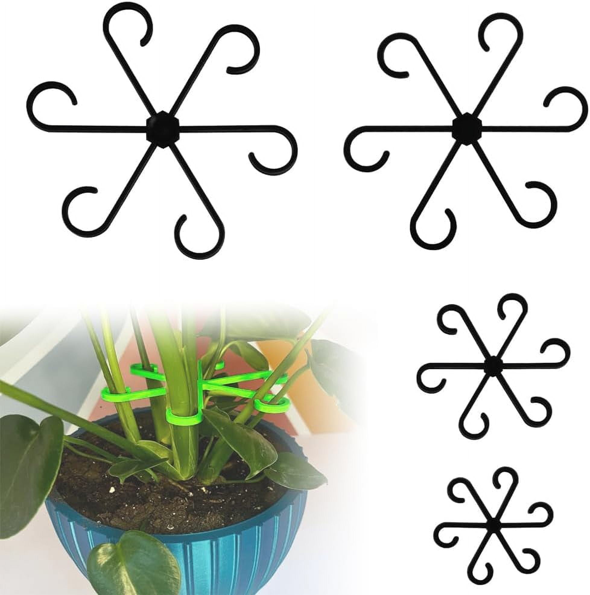Qingshang Stem Supports for Indoor Plants, Plant Support, Plant Stem ...