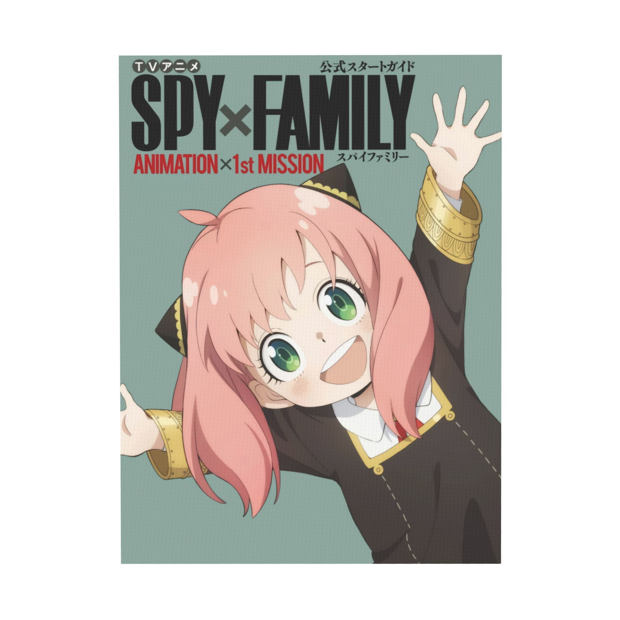 Qingyee Anime Canvas Poster Polyester Multi Size Decorative Poster,Spy ...