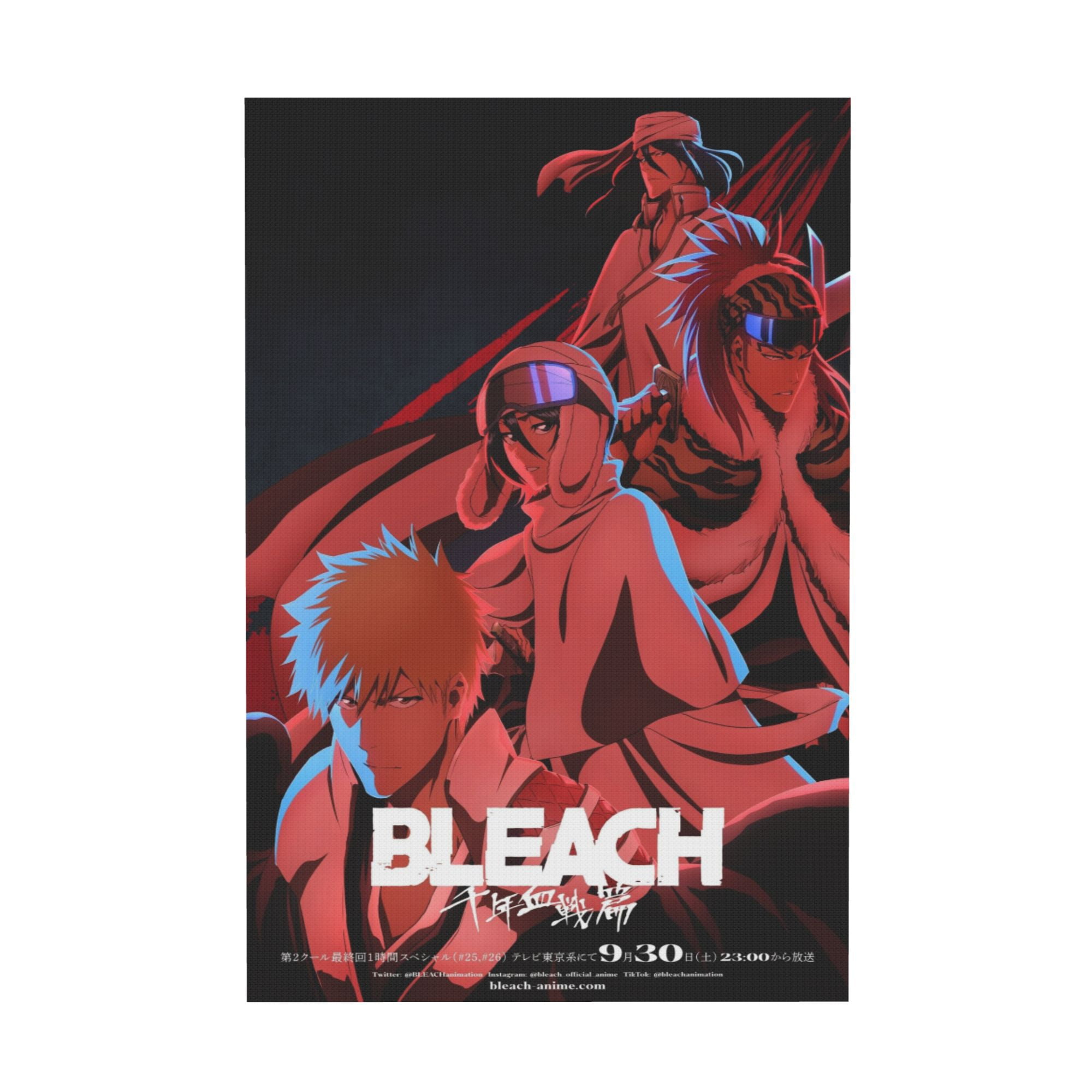 Qingyee Anime Poster Polyester Multi Size Decorative Poster, BLEACH ...