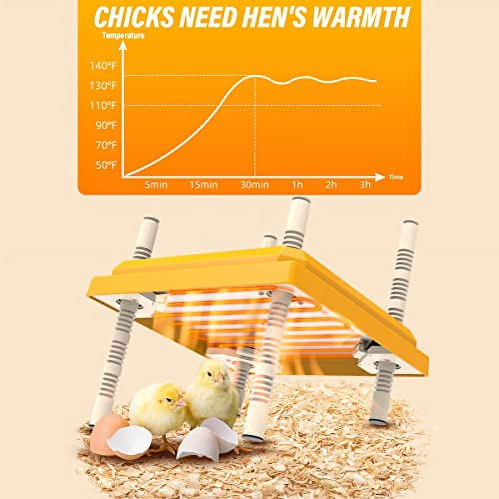 Qivine Brooder Heater for Chicks, 10" x 10" Chick Heater Brooder Plate ...