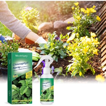 Bonide 10lb Hydrated Lime 97980 for Lawns Garden, Enhance Soil & Plant Growth - Walmart.com