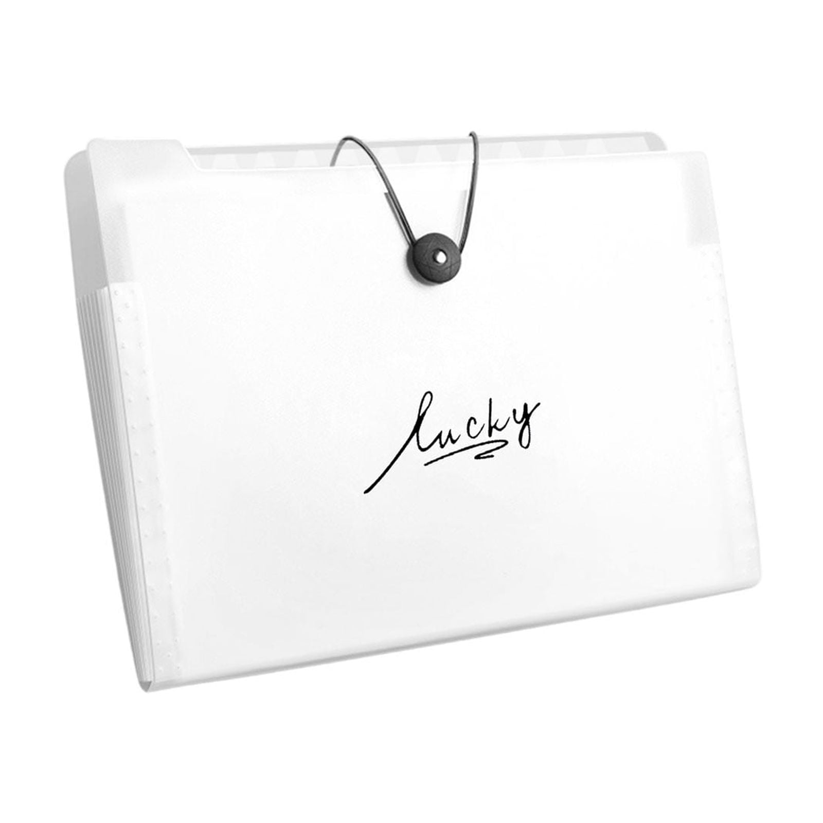 Qiweii A4 12 Pocket Expanding File Folder，Clear Page Organizer for ...