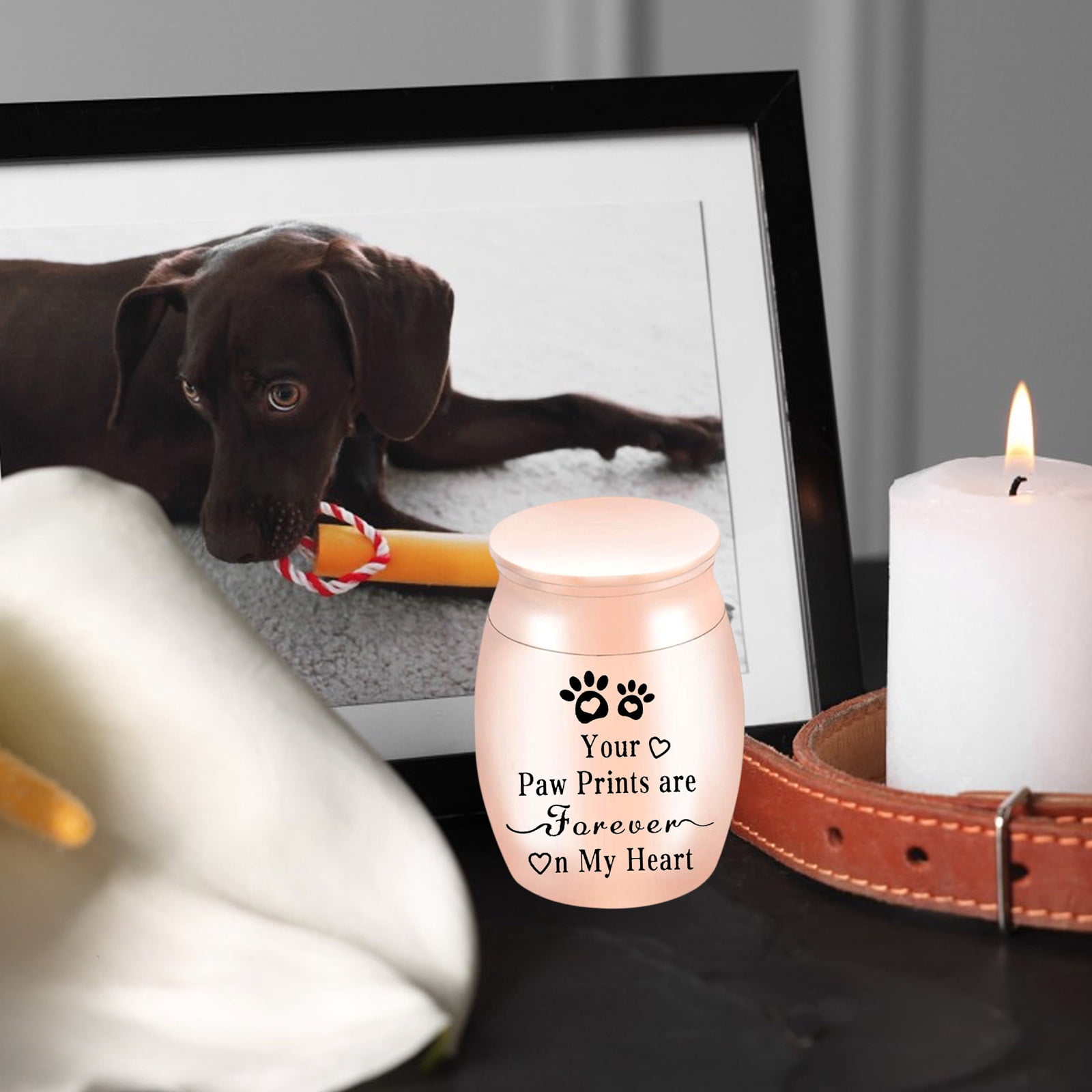 Qiweii Pet for Dog or Cat, Waterproof Memorial Pet Keepsakes ,Pet Ashes ...