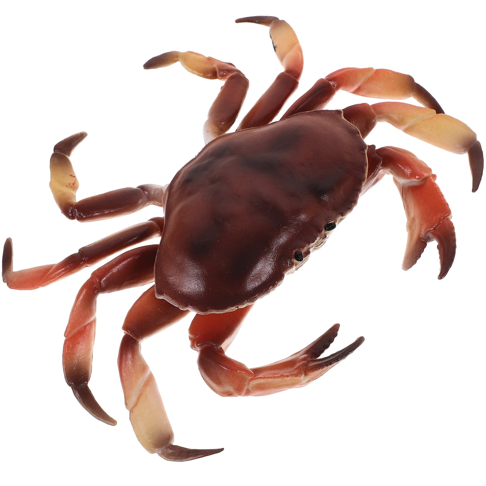 Qnmwood Realistic Plastic Crab Toy Simulation Model - Educational & Fun ...