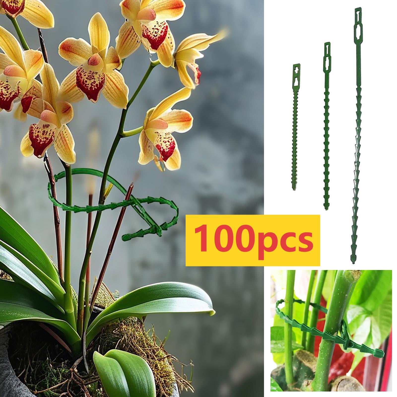 Qocolhg 100 Pcs Adjustable Plant Ties,Serrated Flexible Green Garden ...