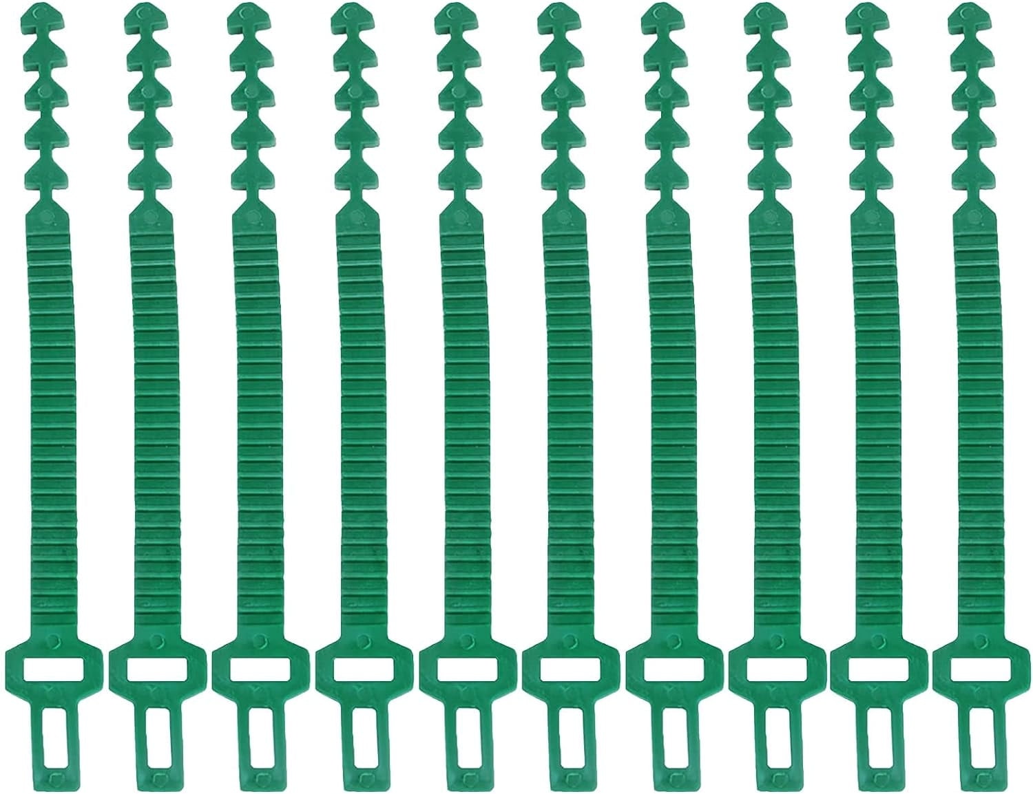 Qocolhg 10pcs Tree Ties Straps Supports, Tree Ties Straps Supports,Tree ...