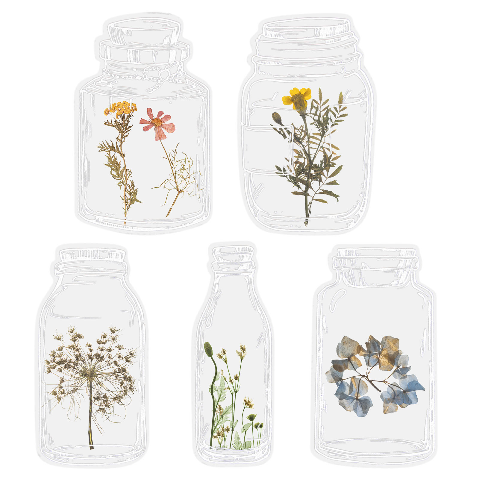 Qocolhg 30Pcs Large Size DIY Bookmarks, Transparent Dried Flower ...