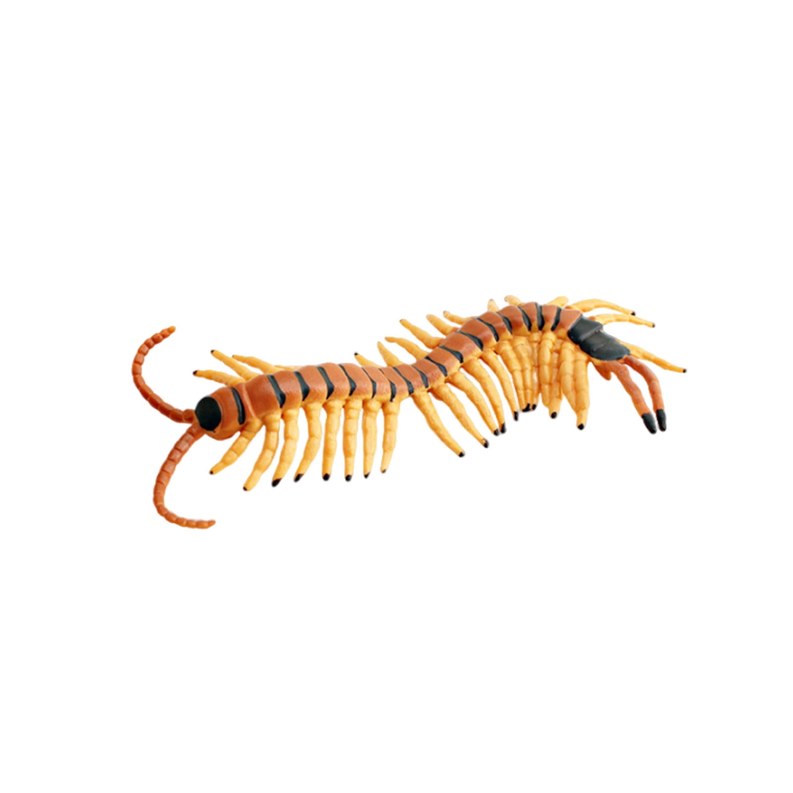 Qocolhg Simulated Model Of Dromedary Scorpion And Peacock Centipede ...