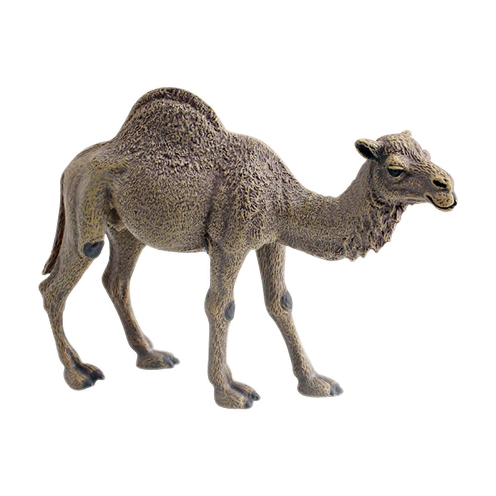 Qocolhg Simulated Model Of Dromedary Scorpion And Peacock Centipede ...