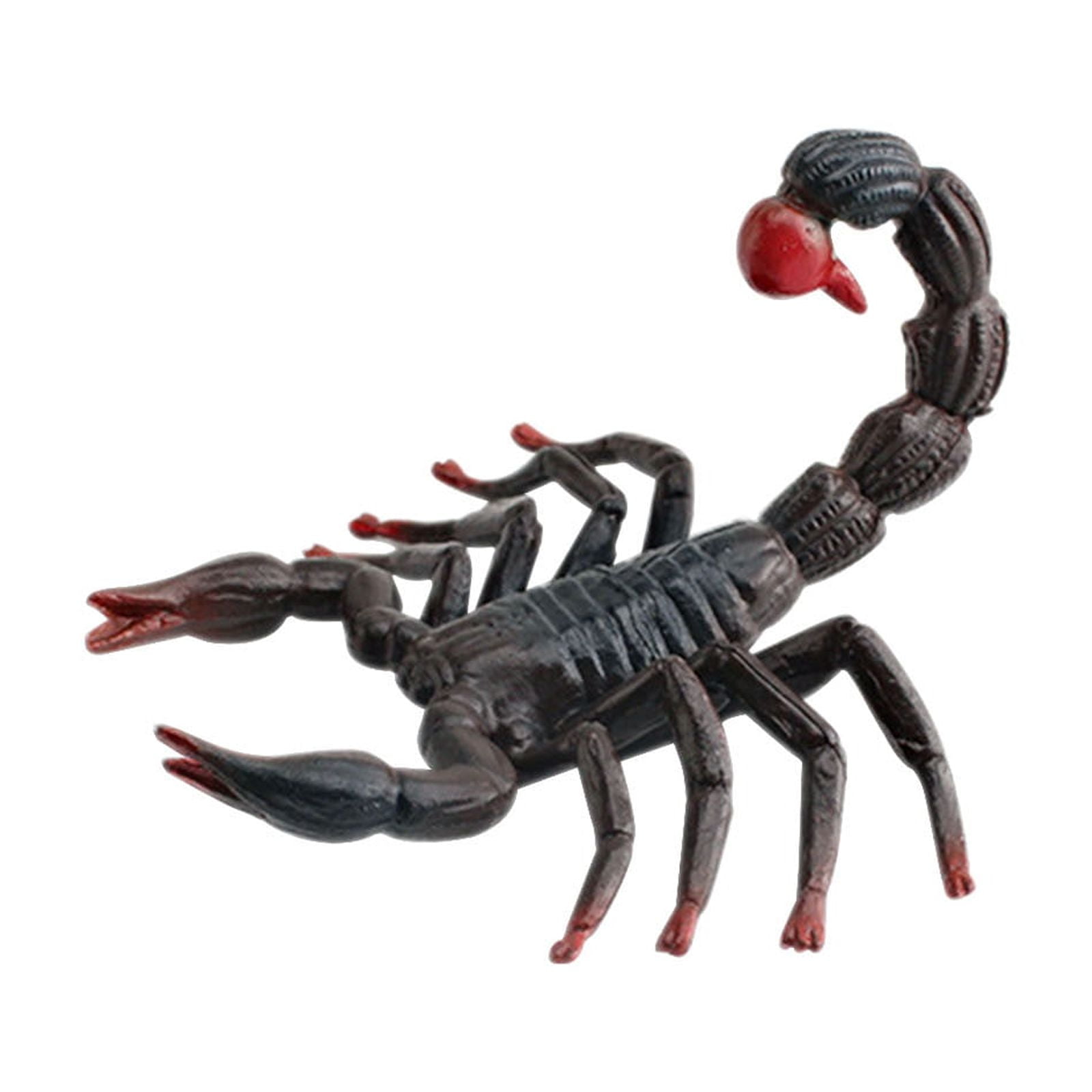 Qocolhg Simulated Model Of Dromedary Scorpion And Peacock Centipede ...