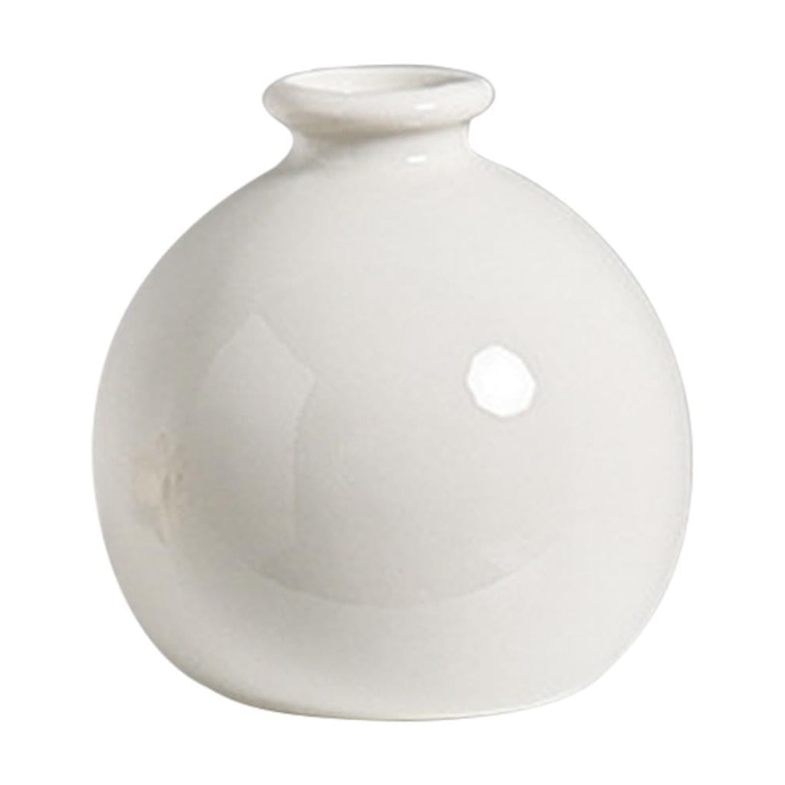 Qocolhg White Ceramic Vase, Farmhouse Decor, Home Decorative Vase ...
