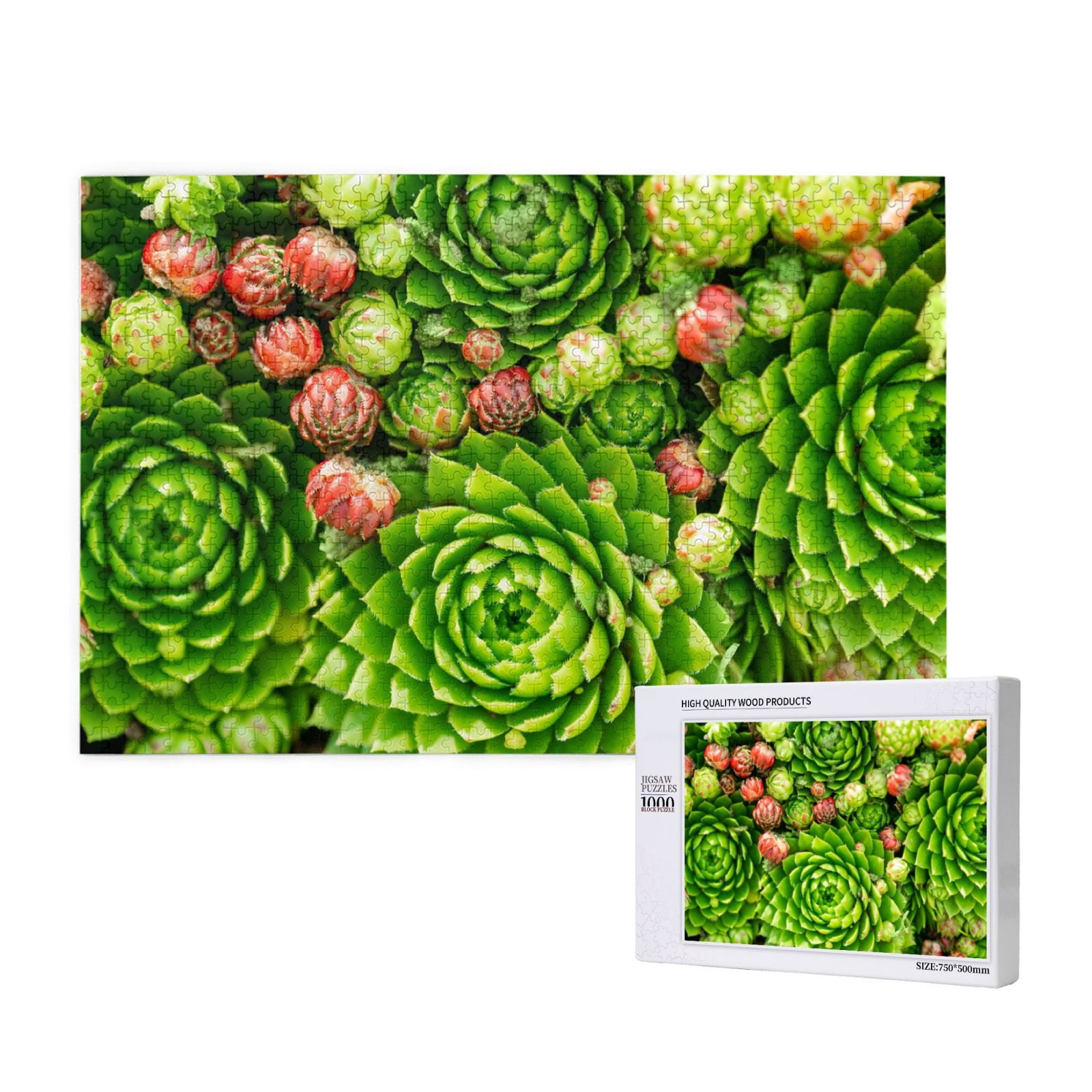 Qokaie Cactus And Succulents Pattern Picture Puzzle,Wooden 1000 Piece ...