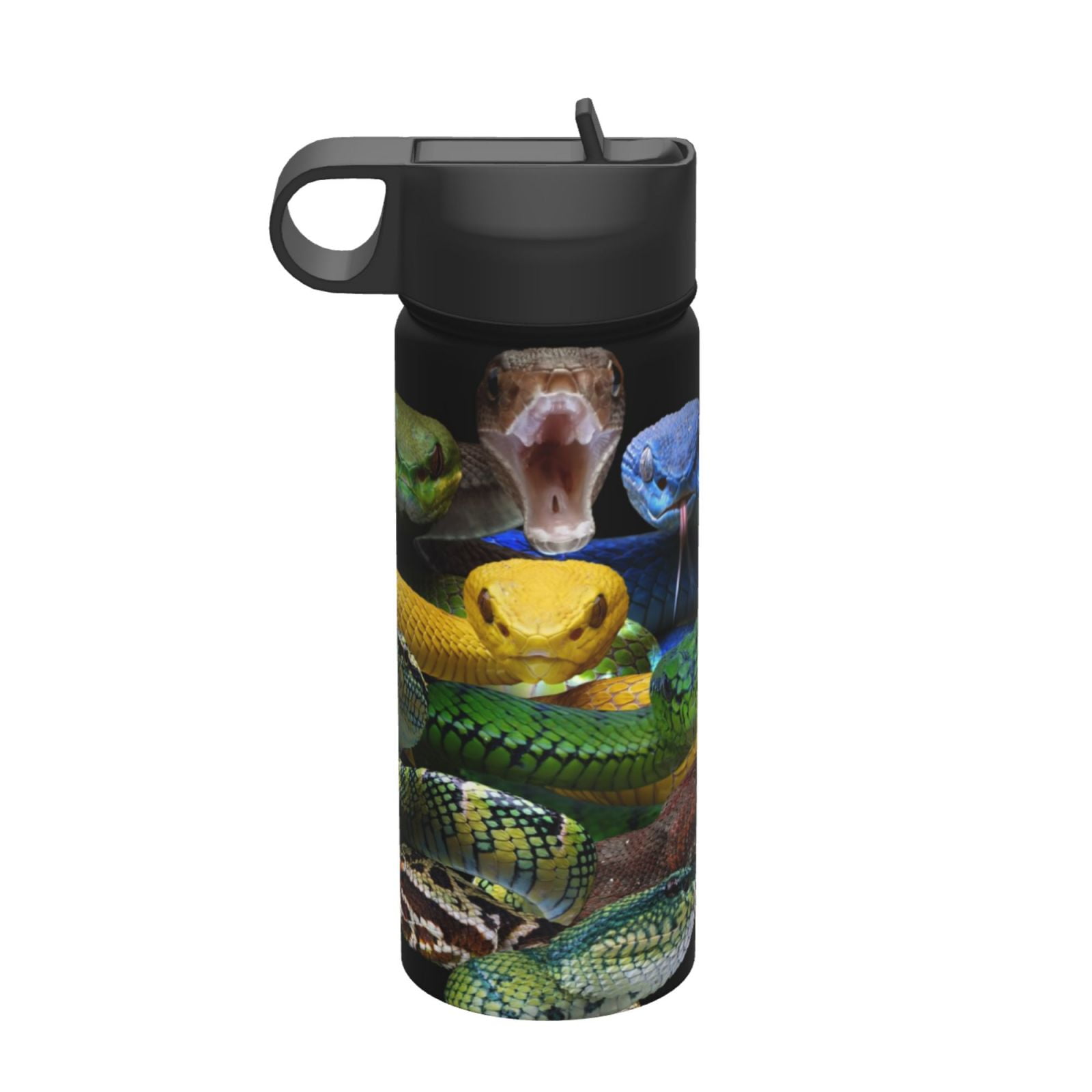 Qokaie Colorful Viper Snake Pattern 18oz Insulated Water Bottle ...