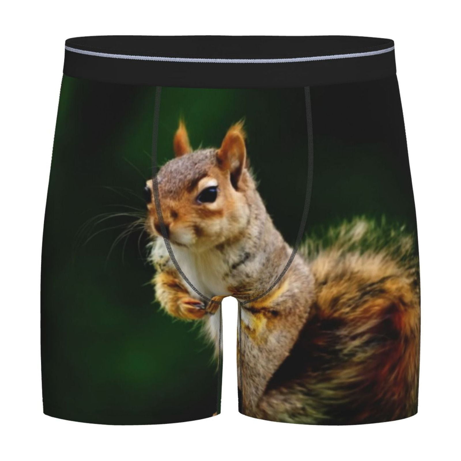 Qokaie Squirrels Eating Peanuts On The Tree for Men's Cotton Briefs ...
