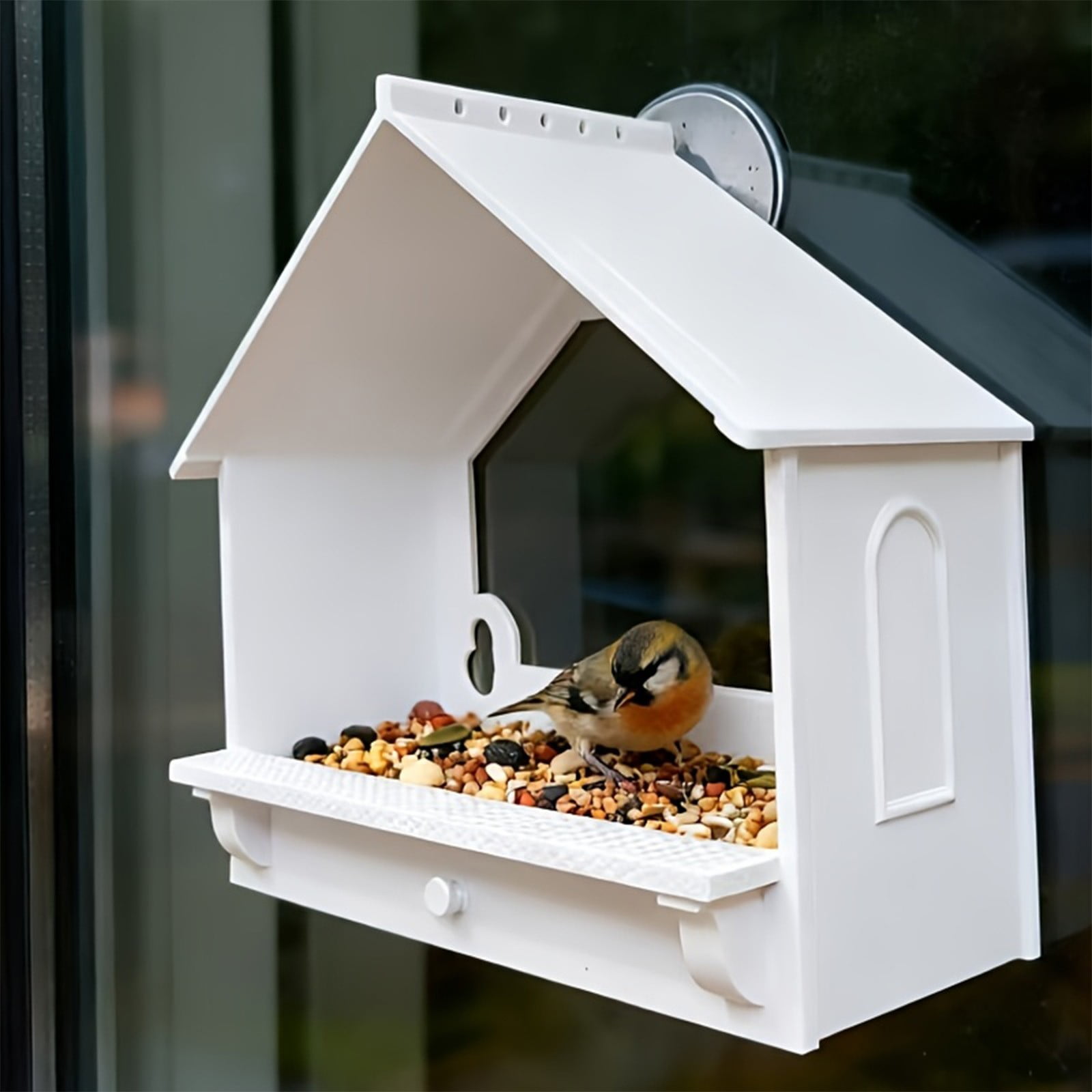 Qqyida White Plastic Window Mount Bird Feeder with Suction Cups and ...