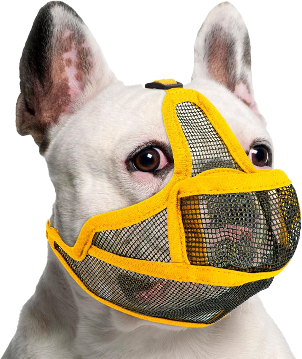 Qrieeo Dog Muzzle, Breathable Mesh French Bulldog Muzzle Full Pant ...