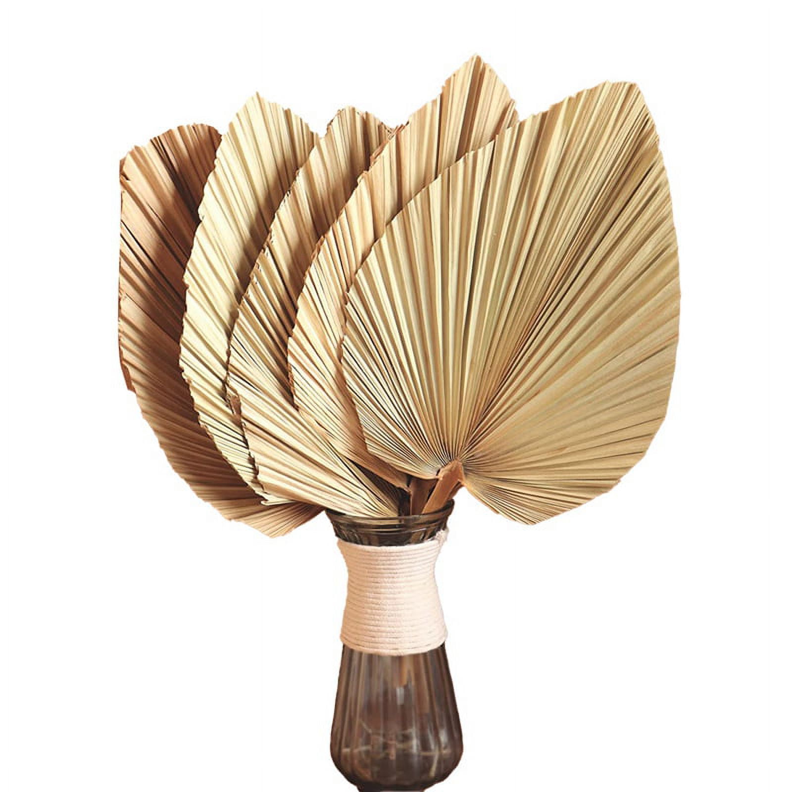 Qtmnekly 5Pcs 18 Inch Natural Trimmed Palm Spear Tropical Palm Leaves ...