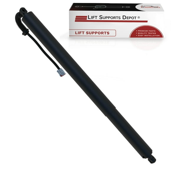 Ford Edge Liftgate Lift Support