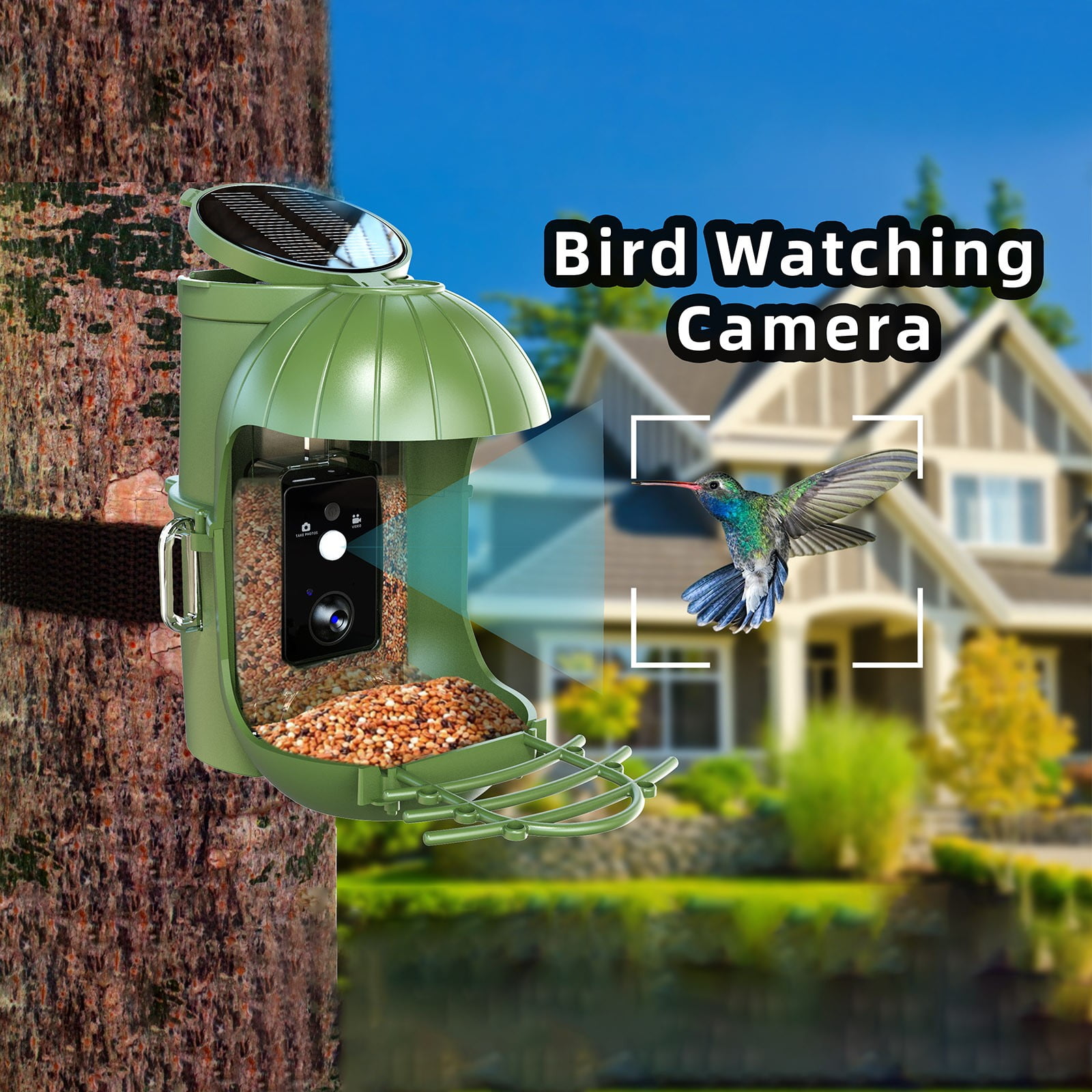 QuLuJing Outdoor Solar Powered HD Smart Bird Feeder Camera Smart Bird ...