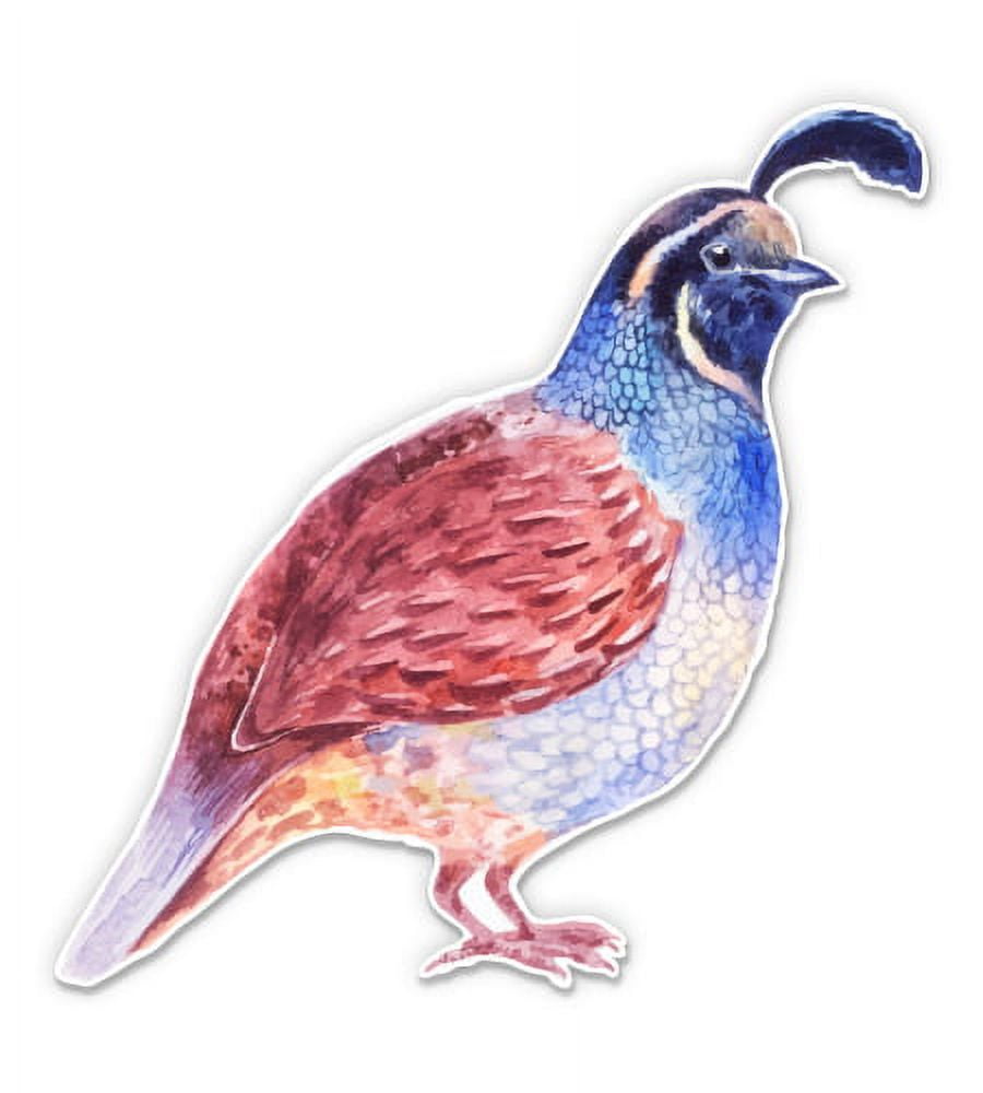 Quail - 12" Vinyl Sticker Waterproof Decal - Walmart.com