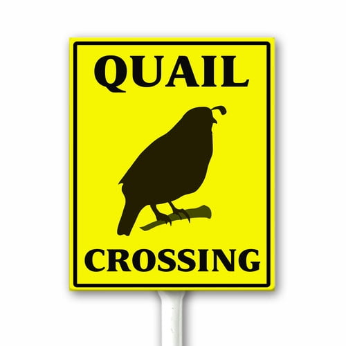 Quail Crossing Yard Sign With Stake, Anmial Birds Quail Xing Street ...