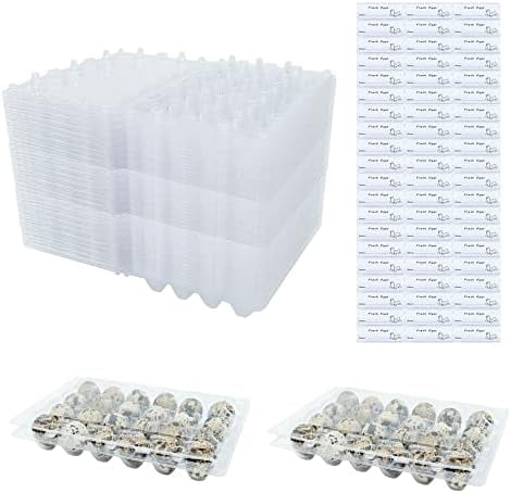 Quail Egg Cartons 60 Packs, Clear Eco-friendly Plastic Blank Egg ...