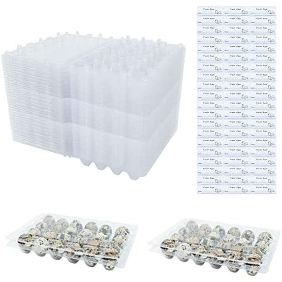 Quail Egg Cartons 60 Packs, Clear Eco-friendly Plastic Blank Egg ...