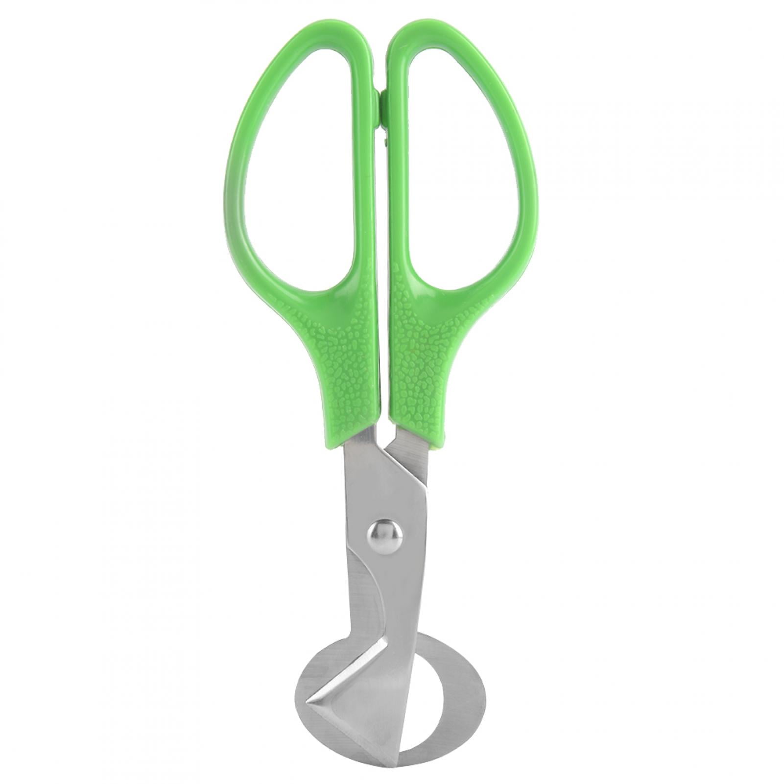 Quail Egg Scissors,Portable Anti rust Quail Egg Scissors Cutter Opener ...