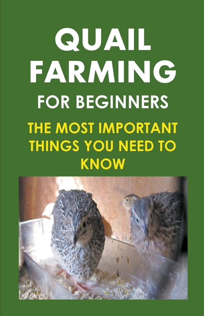 Quail Farming For Beginners: The Most Important Things You Need To Know ...