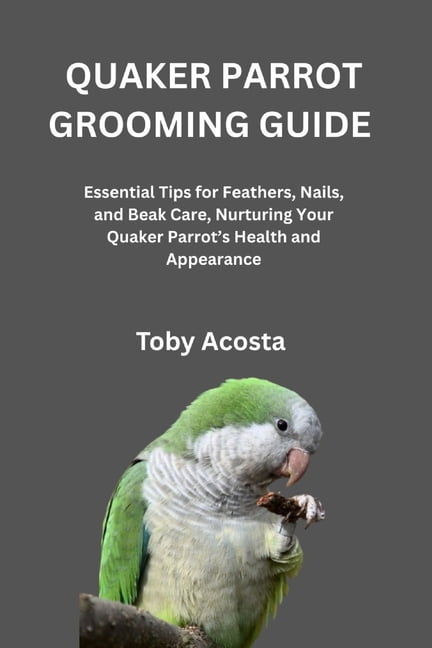 Quaker Parrot Grooming Guide: Essential Tips for Feathers, Nails, and ...